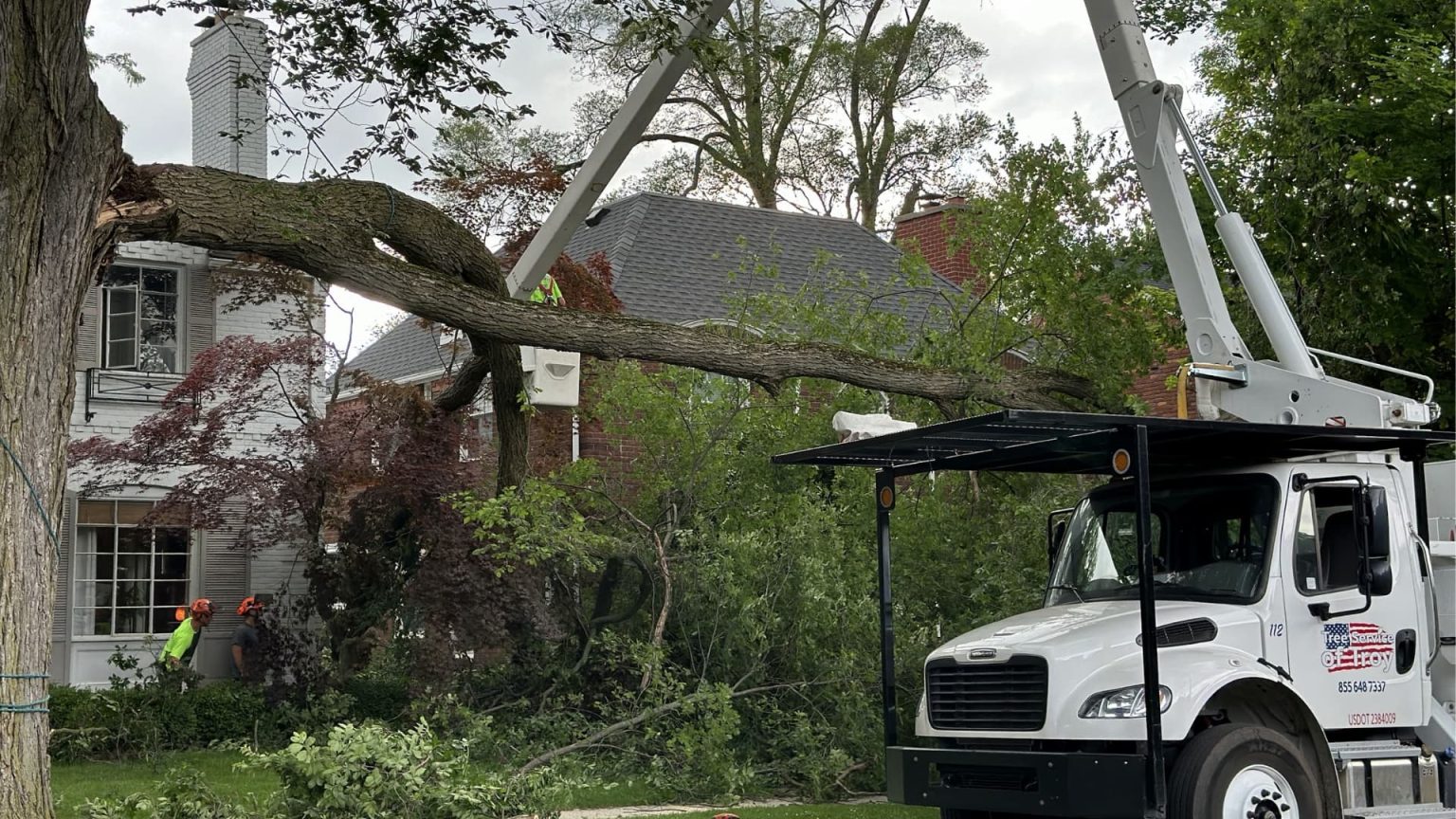 Storm Damage - Galaxy Tree Service